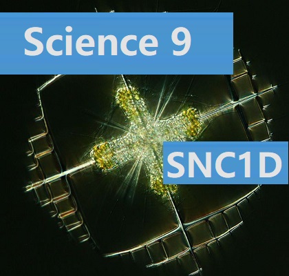 SNC1D Science Grade 9 Online Credit Course - Toronto eSchool