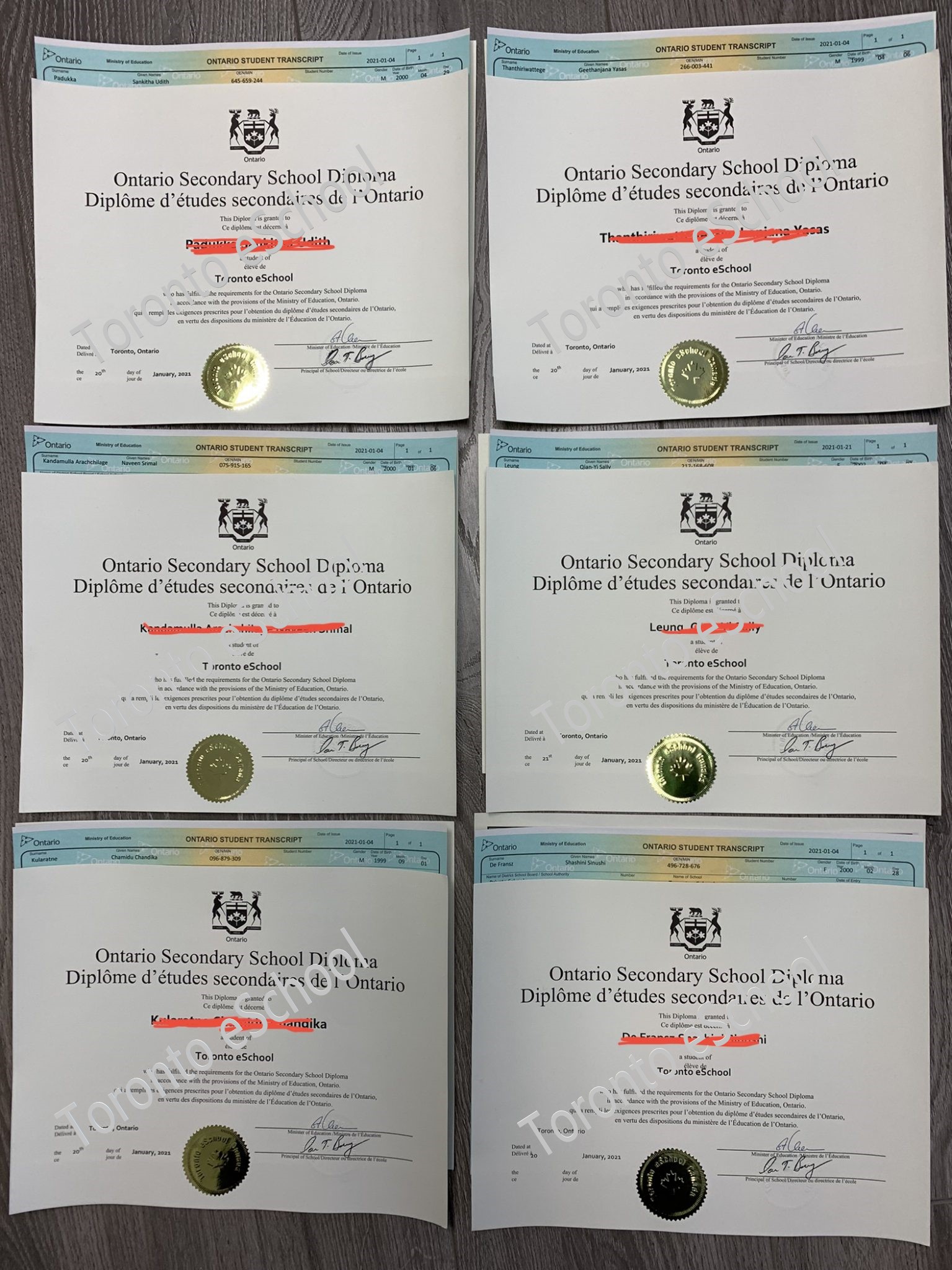 Your 2022 Summer School Option – OSSD Credits Online - Toronto eSchool ...